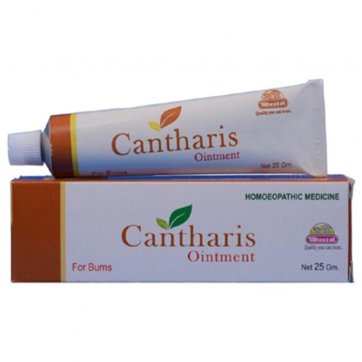 Buy SBL Cantharis Ointment, 25 gm | 19 Minutes Delivery | Apollo Pharmacy
