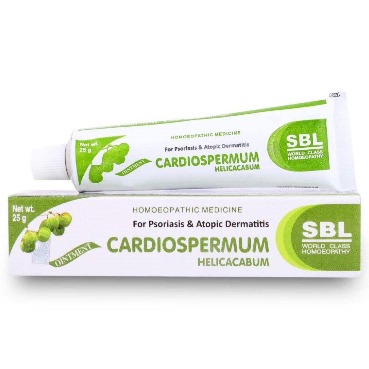 Buy SBL Cardiospermum Helicacabum Ointment, 25 gm | 19 Minutes Delivery ...