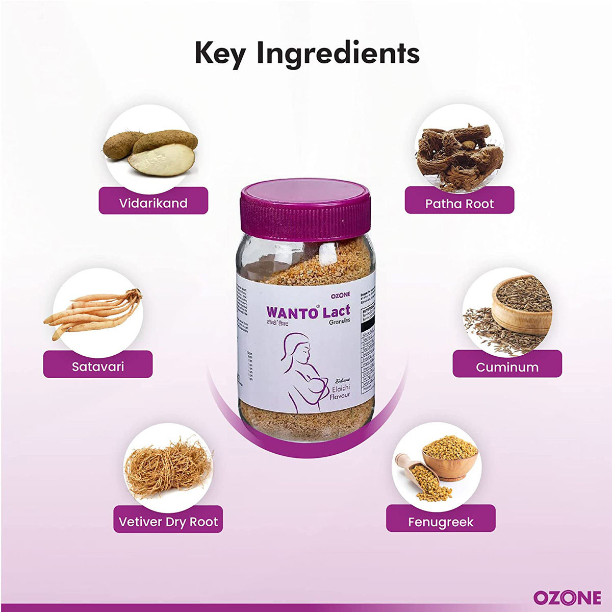 Wanto Lact Elaichi Flavour Granules, 200 gm Price, Uses, Side Effects ...