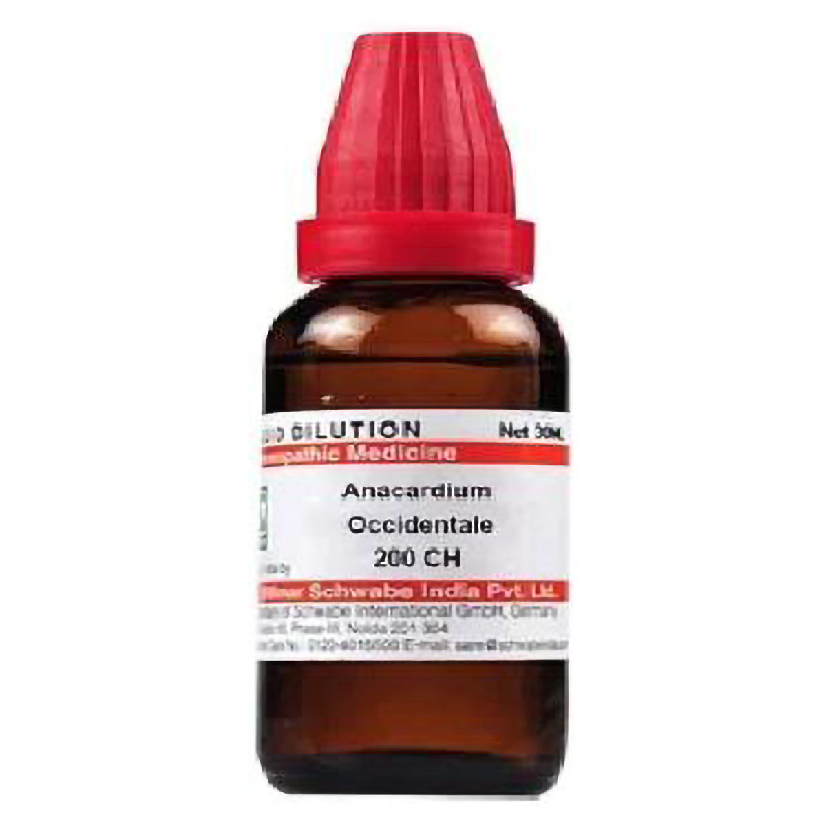 Buy Dr.Willmar Schwabe Anacardium Occidentale 200 CH Dilution, 30 ml ...