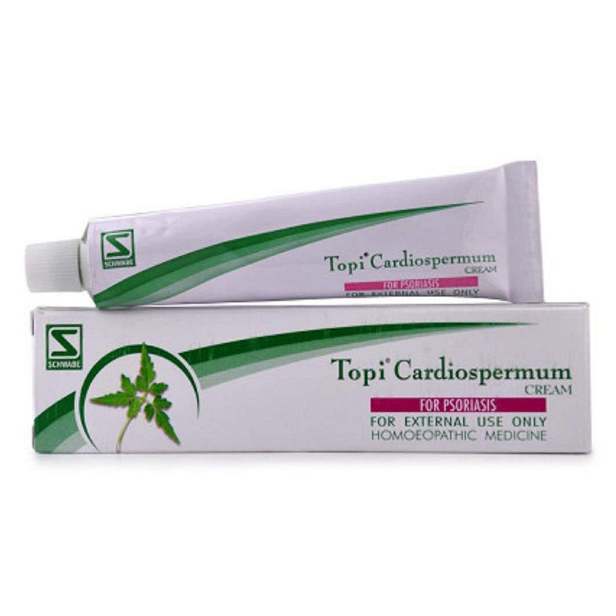Buy Dr.Willmar Schwabe Topi Cardiospermum Cream, 25 gm | 19 Minutes ...