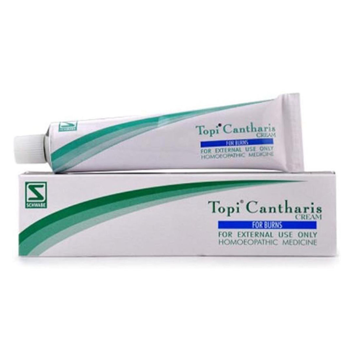 Buy Dr.Willmar Schwabe Topi Cantharis Cream, 25 gm | 19 Minutes ...