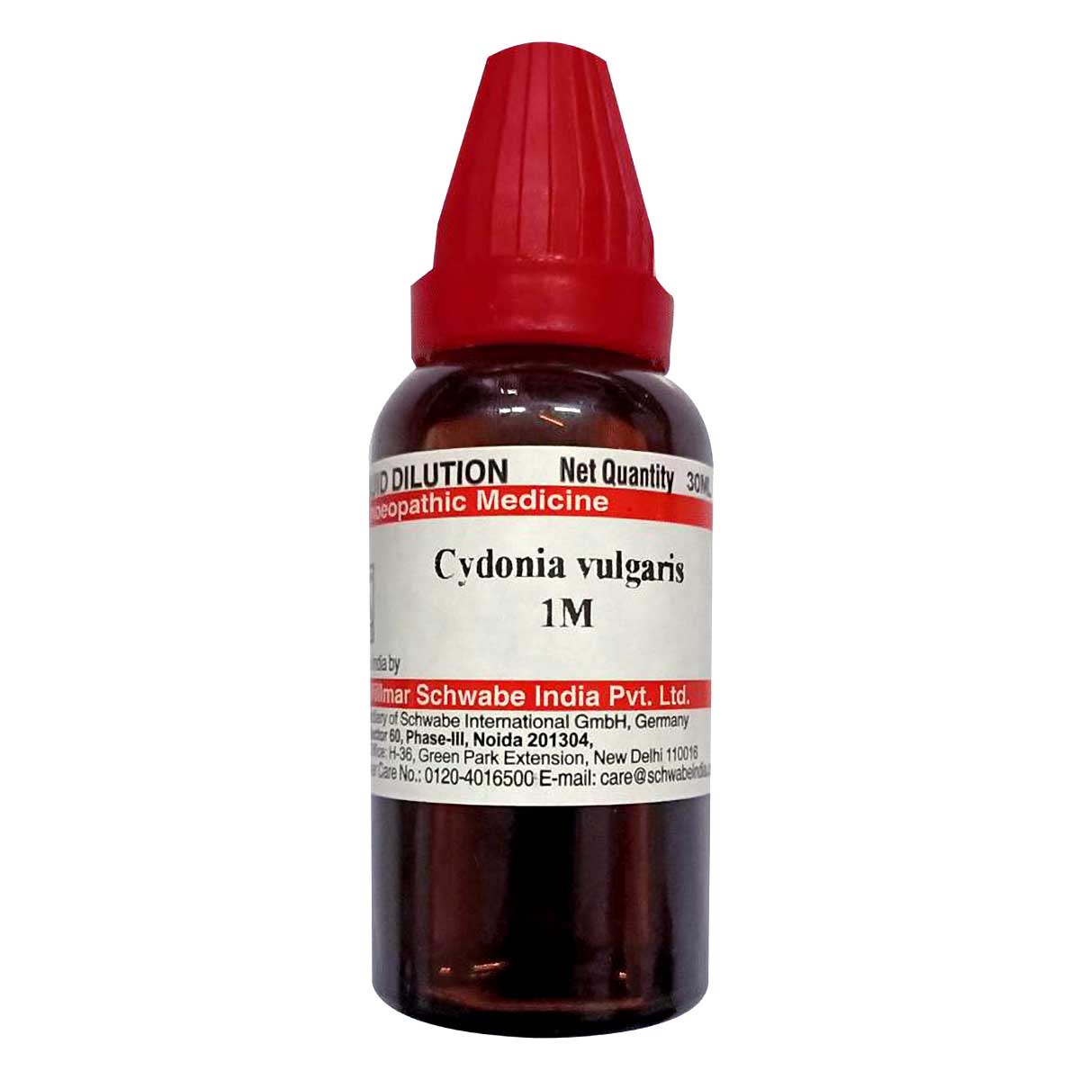 Buy Dr.Willmar Schwabe Cydonia Vulgaris 1M Dilution, 30 ml | 19 Minutes ...