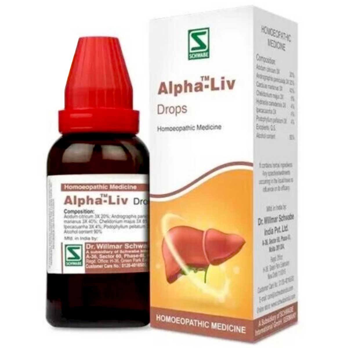 Buy Dr.Willmar Schwabe Alpha-Liv Drop, 30 ml | 19 Minutes Delivery ...