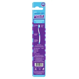 Buy Apollo Essentials Popular Toothbrush, 1 Count | 19 Minutes Delivery ...