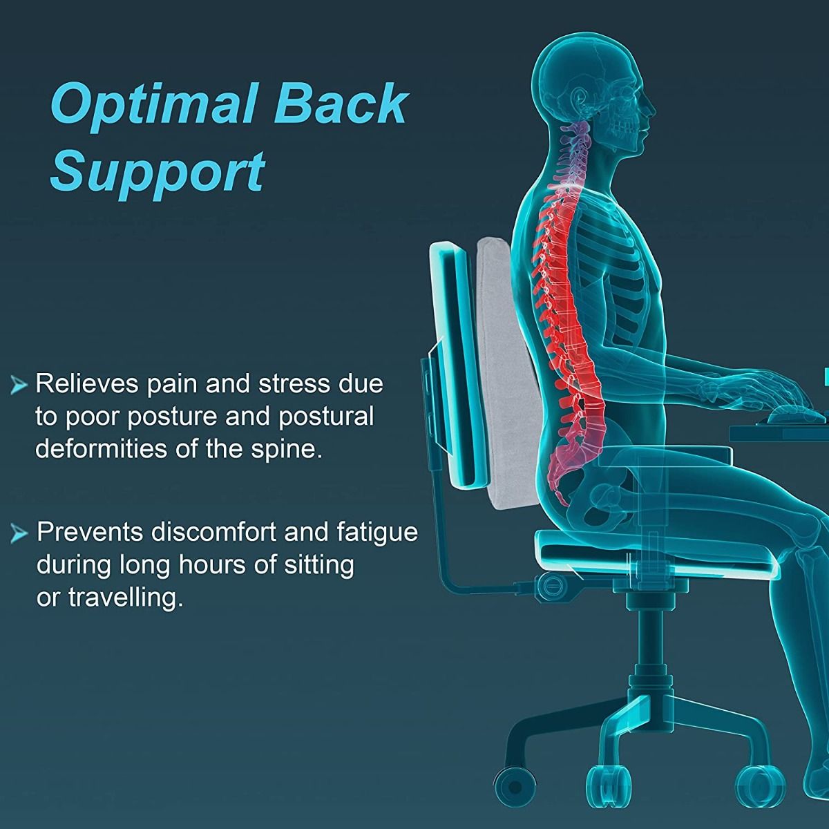 Tynor Back Rest Full, 1 Count Price, Uses, Side Effects, Composition ...