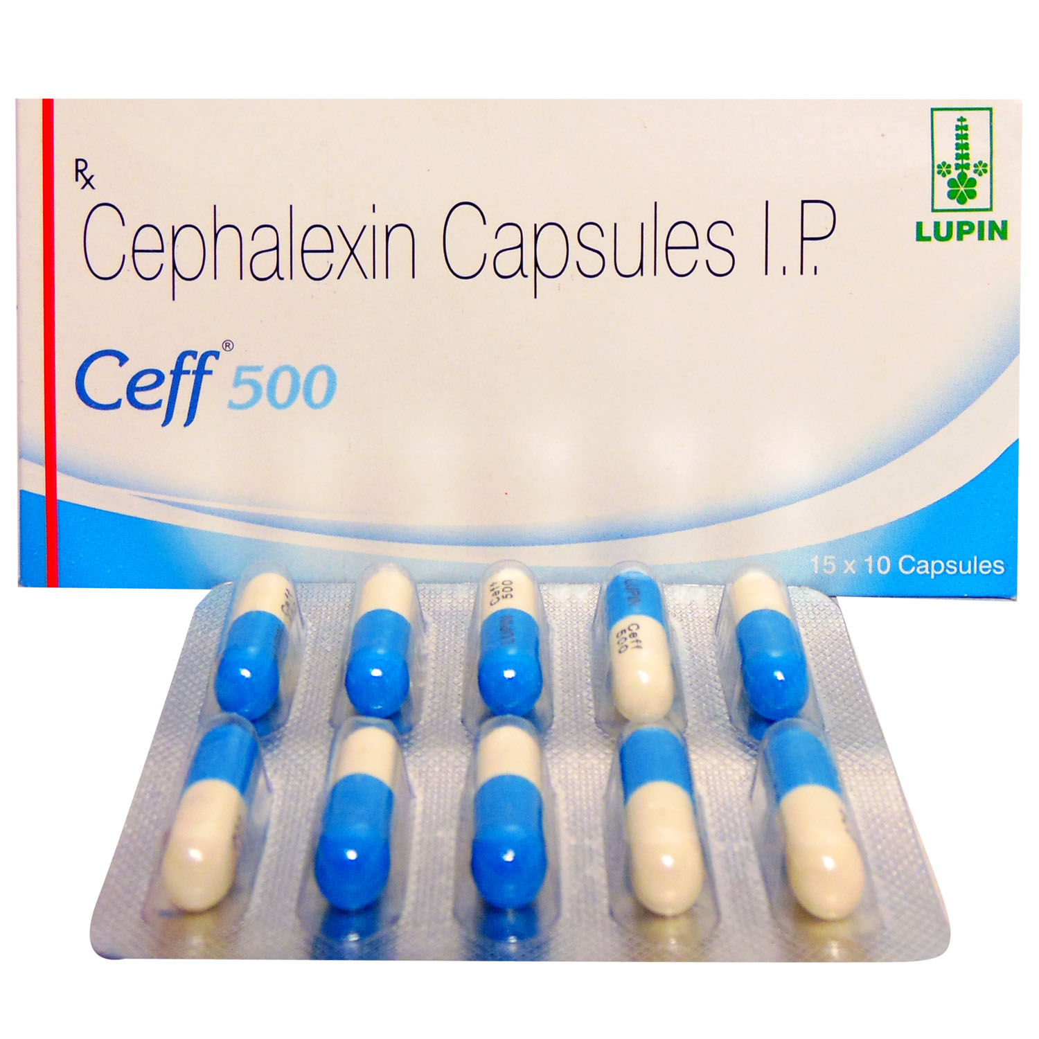 Ceff 500 Capsule 10's Price, Uses, Side Effects, Composition - Apollo ...