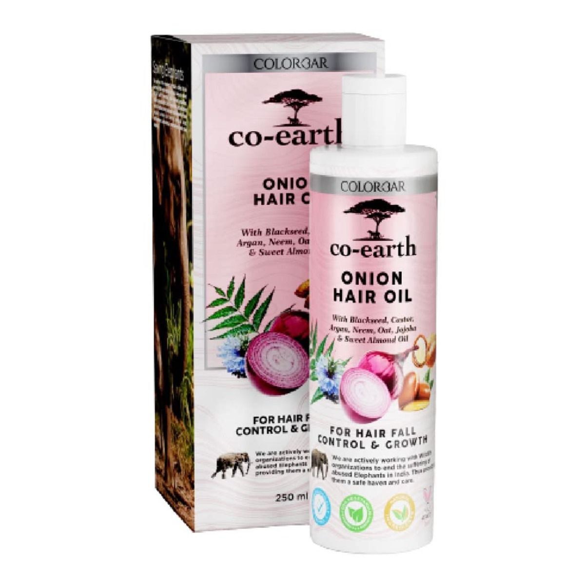 Colorbar Co-Earth Onion Hair Oil, 250 ml Price, Uses, Side Effects ...