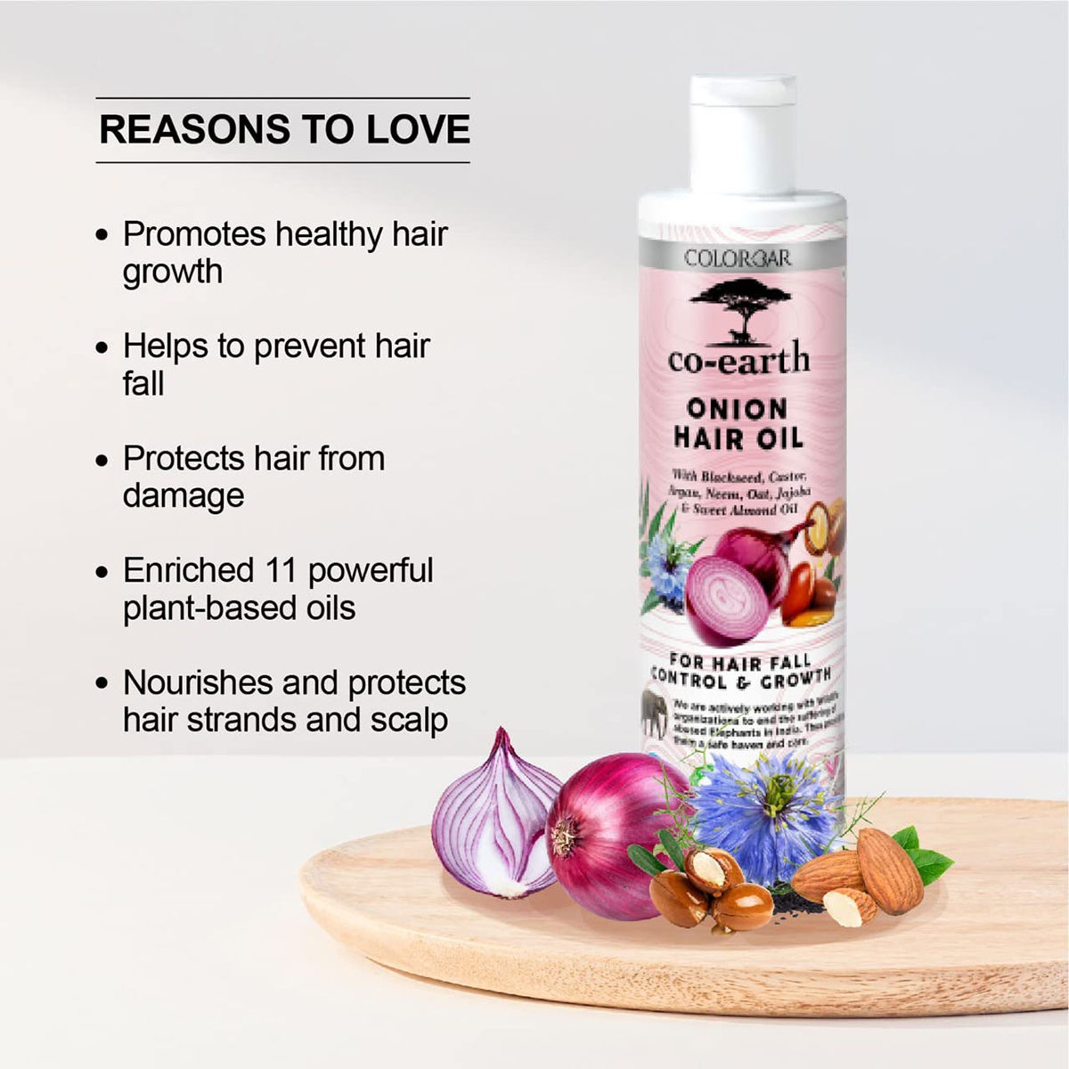 Colorbar Co-Earth Onion Hair Oil, 250 ml Price, Uses, Side Effects ...