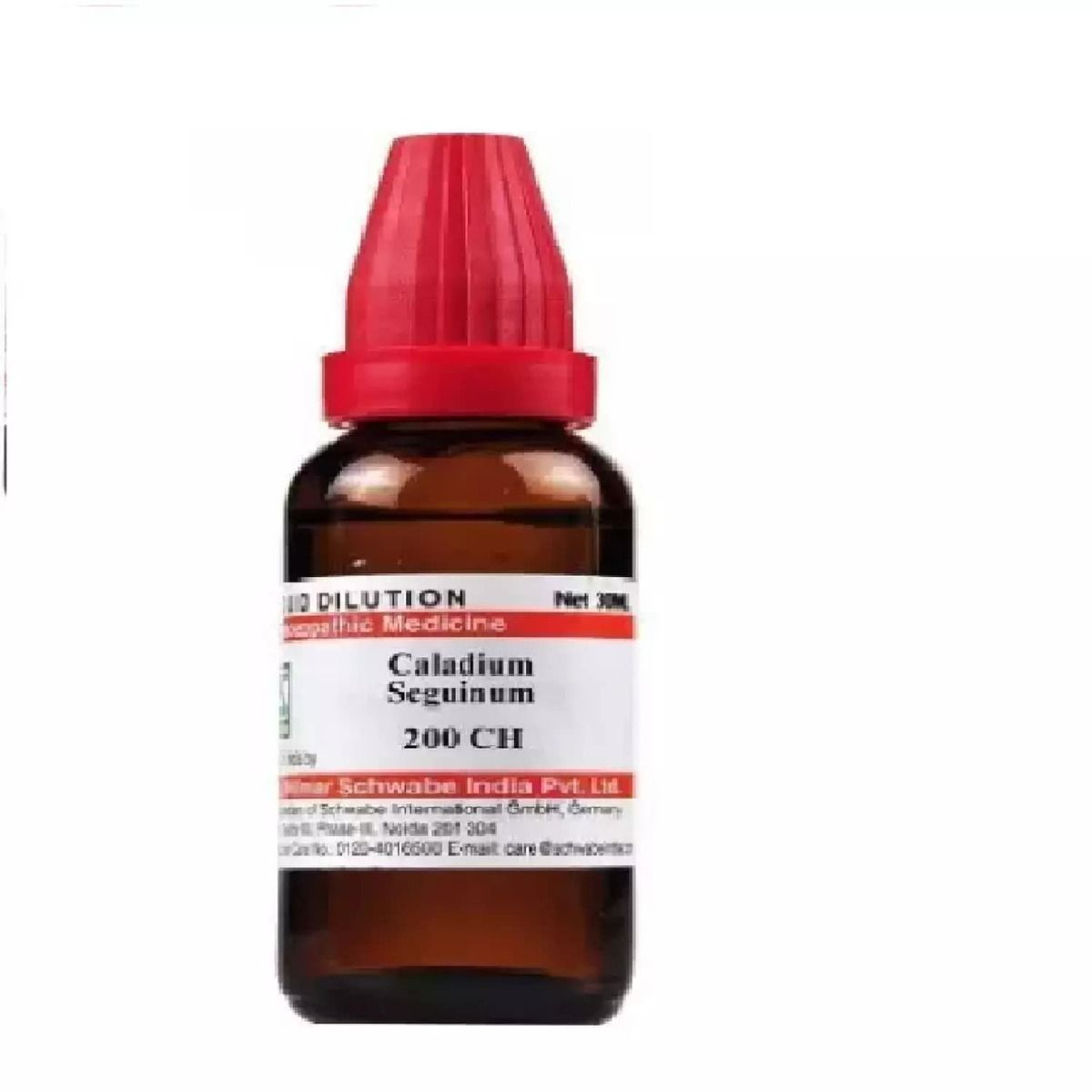 Buy Dr.Willmar Schwabe Caladium Seguinum 200 CH Dilution, 30 ml | 19 ...