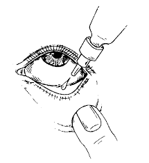 Bepodrops Eye Drops 5 ml | Uses, Side Effects, Price | Apollo Pharmacy