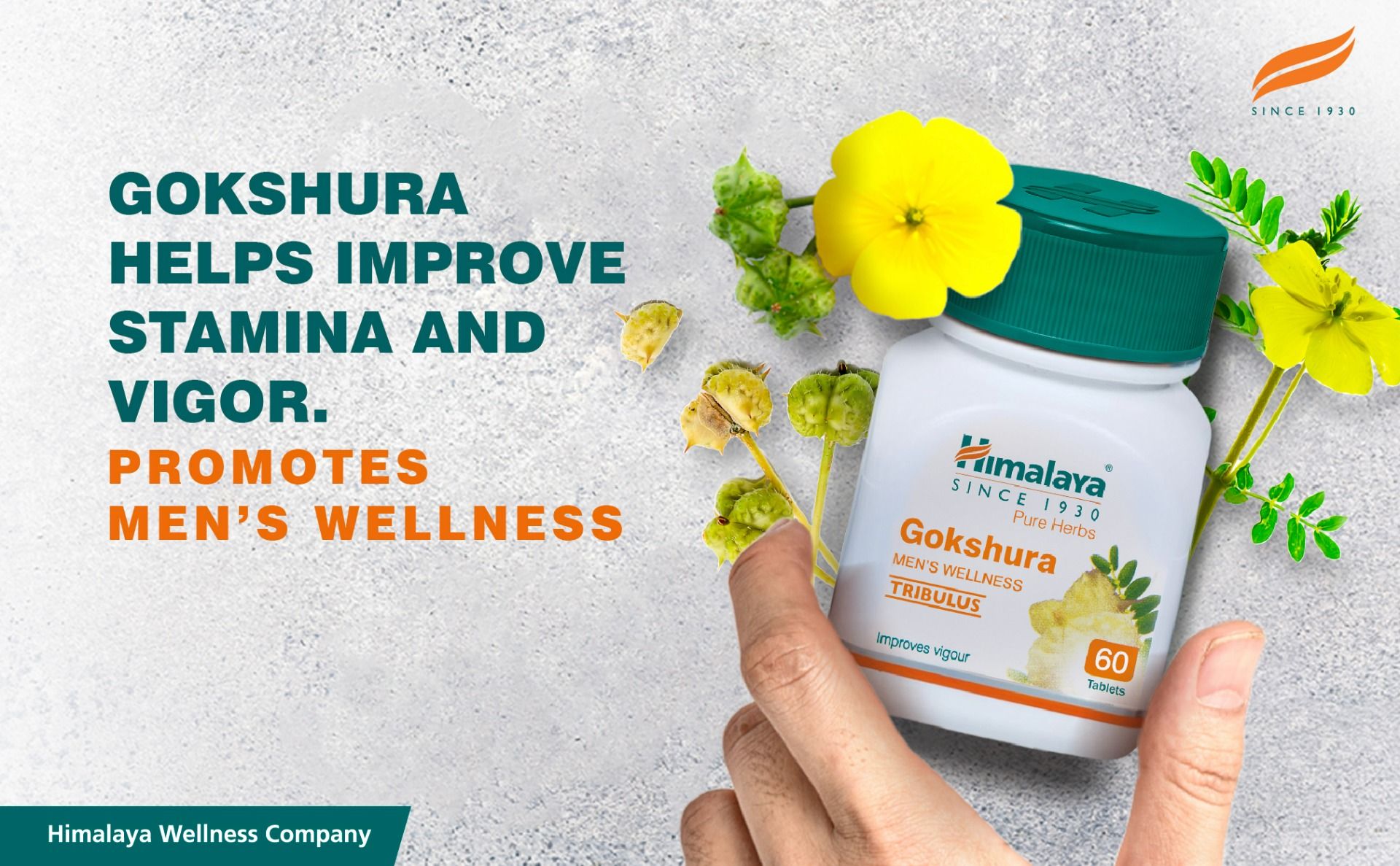 Buy Himalaya Gokshura Men's Wellness, 60 Tablets | 19 Minutes Delivery ...