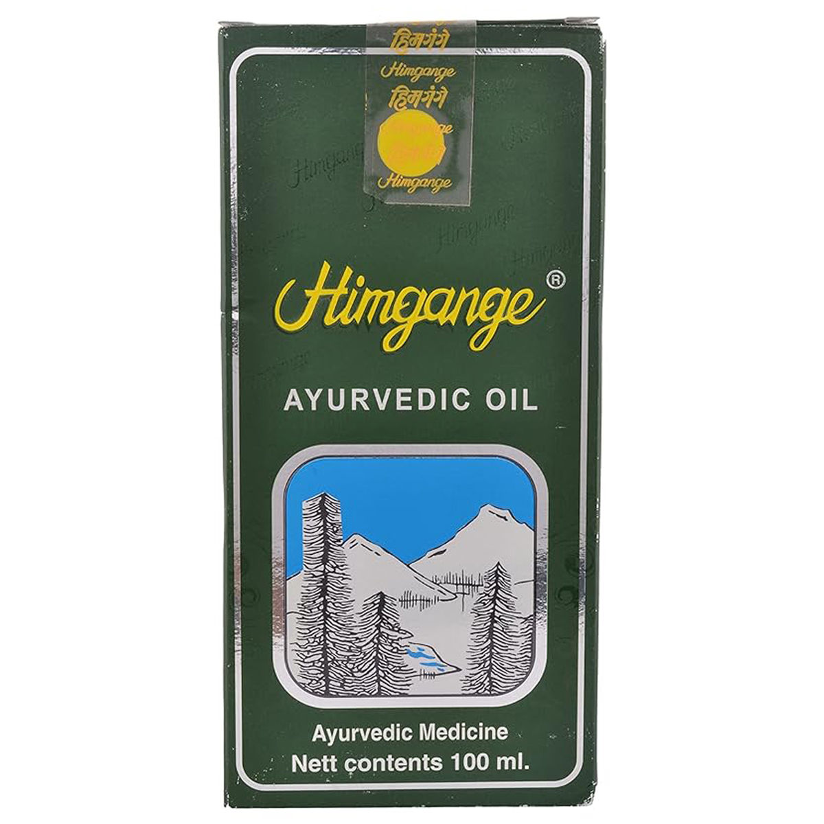Buy Himgange Ayurvedic Hair Oil, 100 ml | 19 Minutes Delivery | Apollo ...