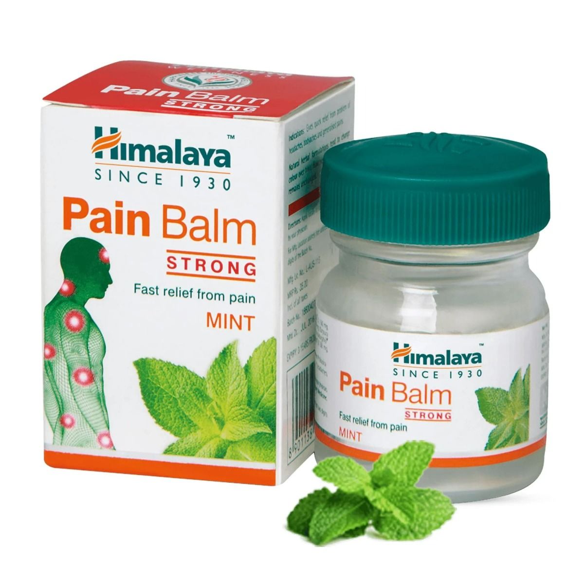 Buy Monison's Pain Balm, 45 gm | 19 Minutes Delivery | Apollo Pharmacy