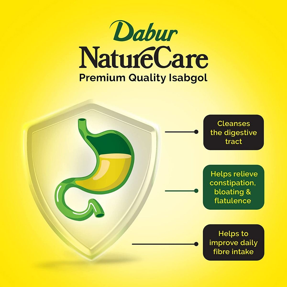 Dabur Nature Care Isabgol, 375 gm Price, Uses, Side Effects ...
