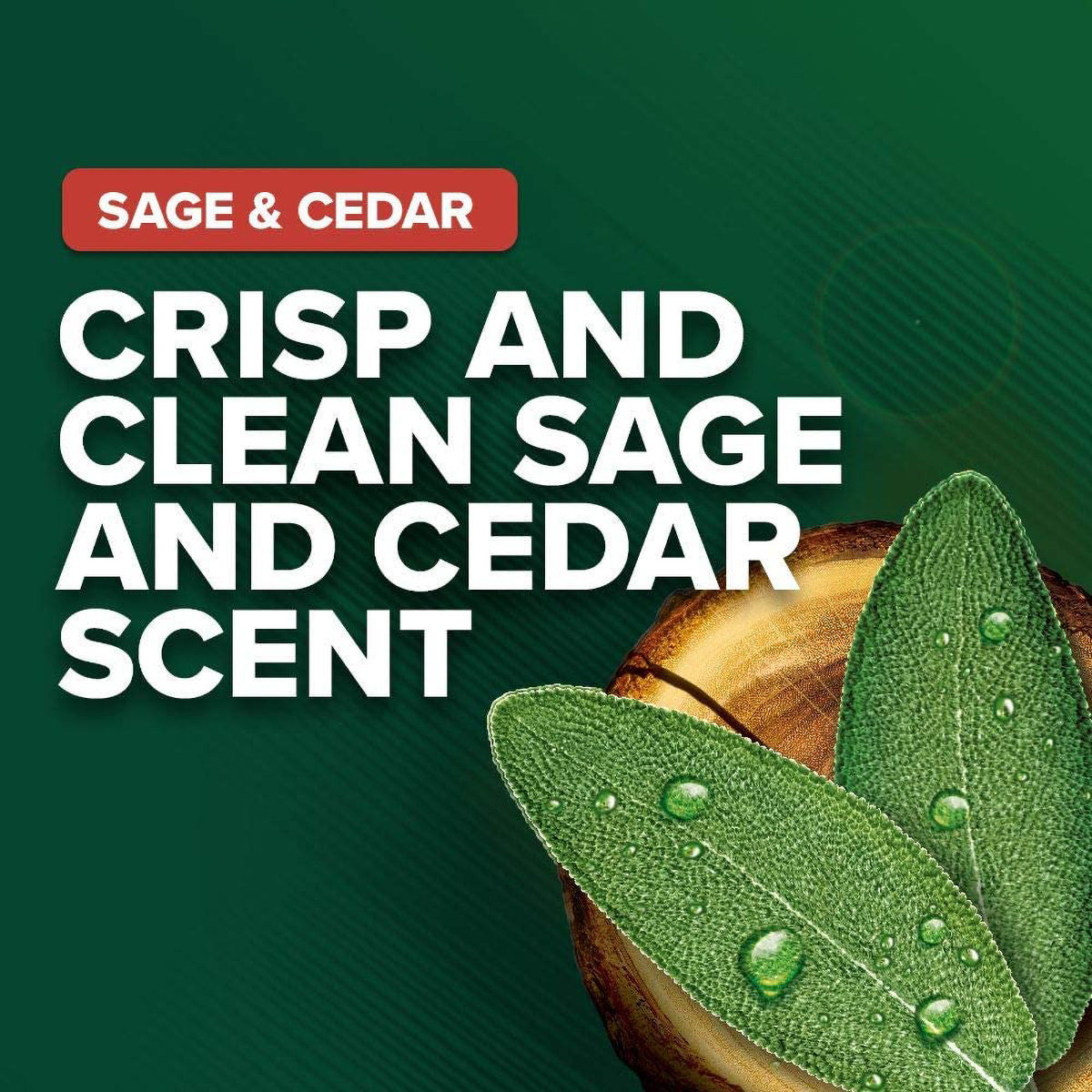Irish Spring Sage & Cedar Body Wash, 532 ml Price, Uses, Side Effects ...
