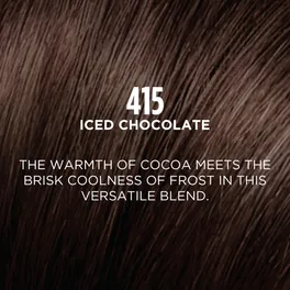 L'Oreal Paris Casting Creme Gloss Hair Color - 415 Iced Chocolate, 1 ...