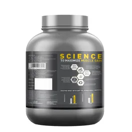 Buy MuscleBlaze Biozyme Performance Whey Protein Magical Mango Flavour ...