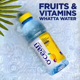 Buy Ocean Mango & Passion Flavour Fruit Drink, 250 ml | 19 Minutes ...
