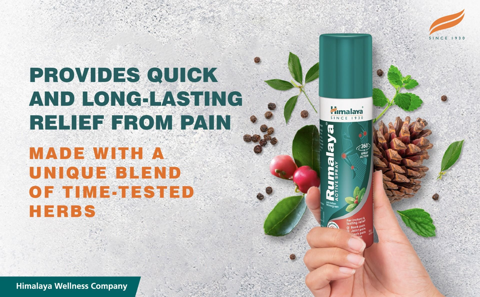 Buy Himalaya Rumalaya Active Spray, 100gm/134.10 ml | 19 Minutes ...