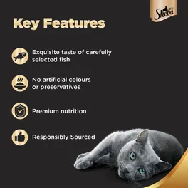 Buy Sheba Fish With Dry Bonito Flake Wet Food for Cat, 420 gm (35 gm x ...