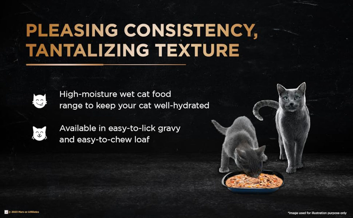 Buy Sheba Fish With Dry Bonito Flake Wet Food for Cat, 420 gm (35 gm x ...