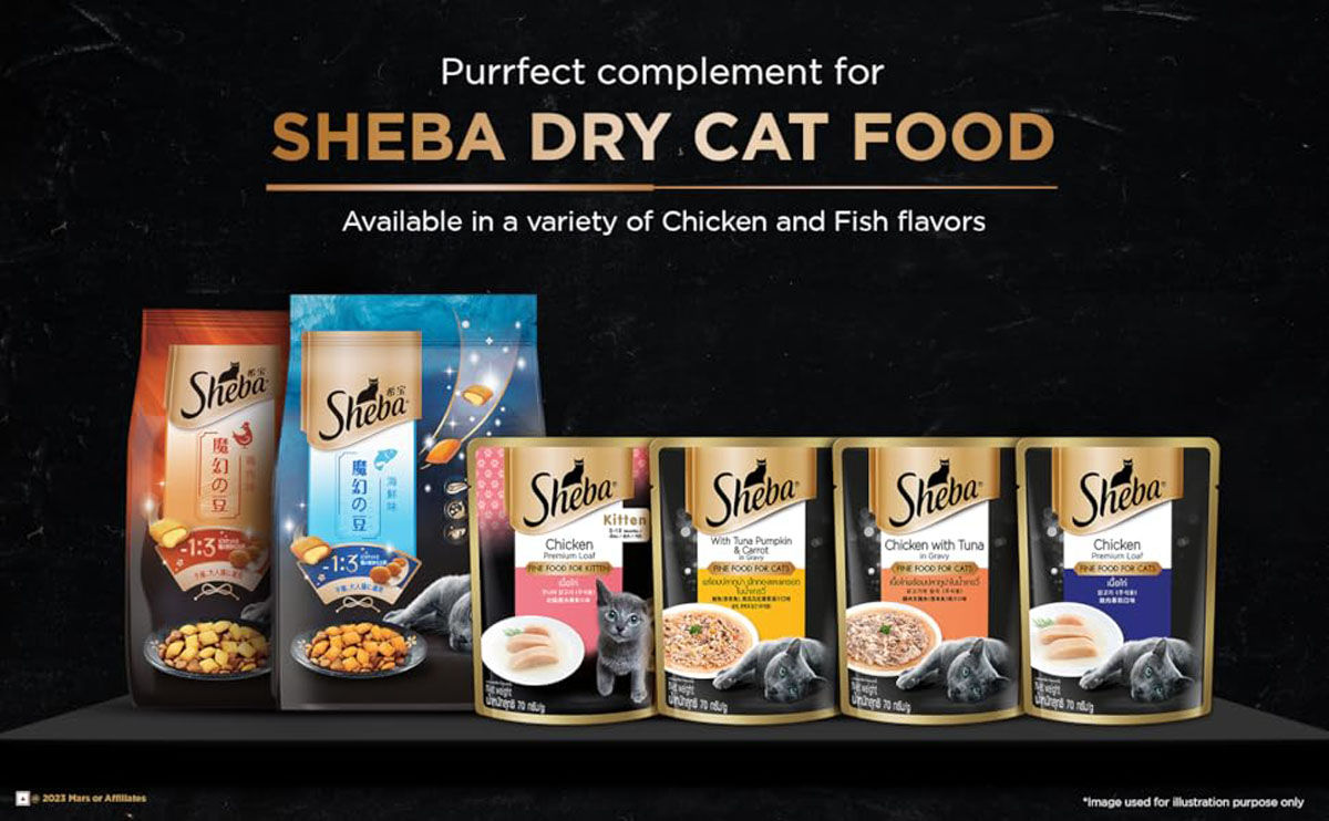 Buy Sheba Fish With Dry Bonito Flake Wet Food for Cat, 420 gm (35 gm x ...