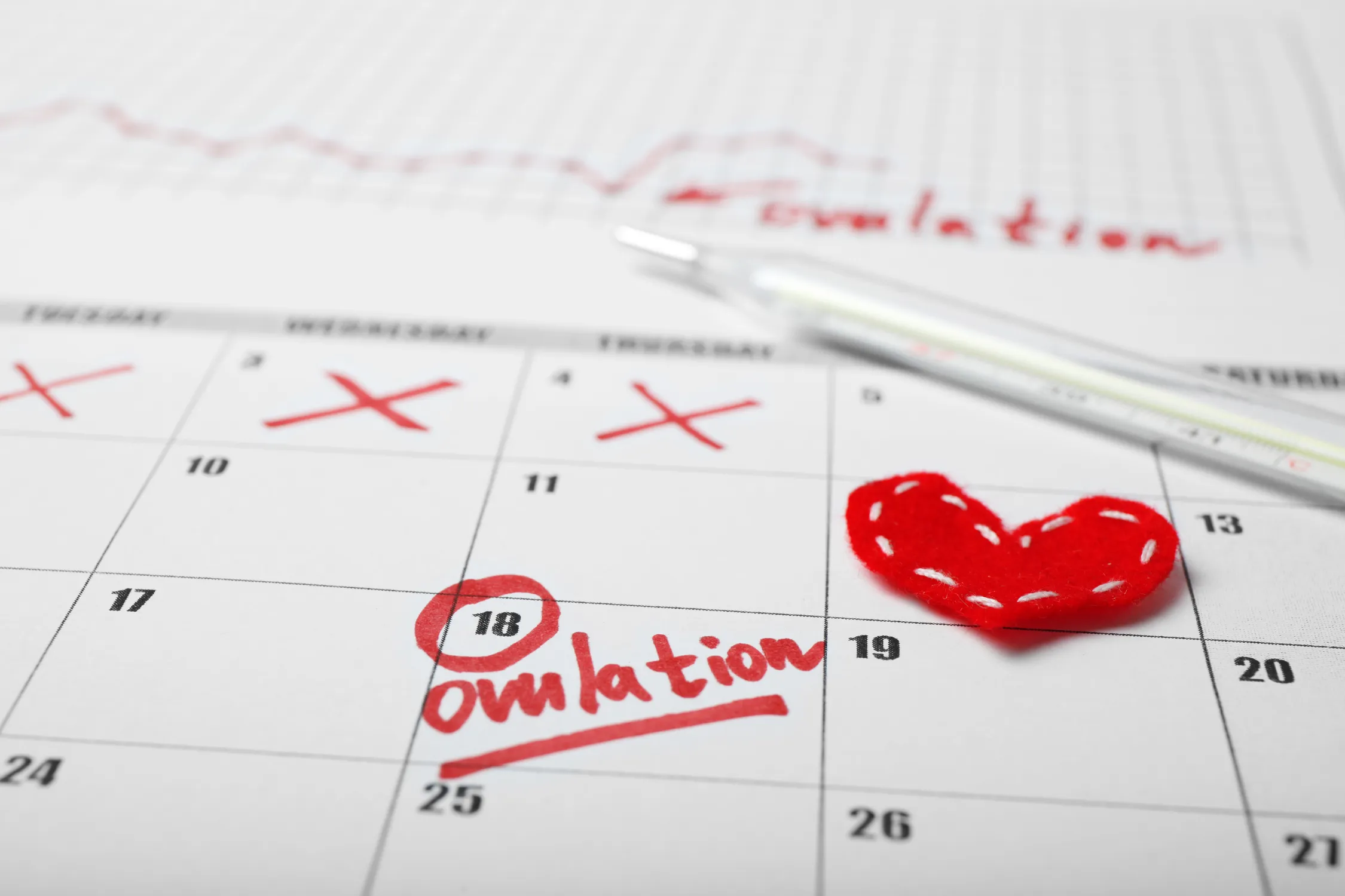 Ovulation Guide: Signs, Symptoms, and Tracking Methods