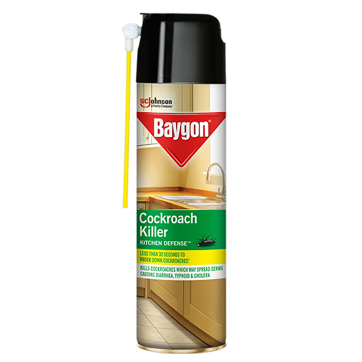 Buy Baygon Cockroach Killer Spray, 200 ml | 19 Minutes Delivery ...