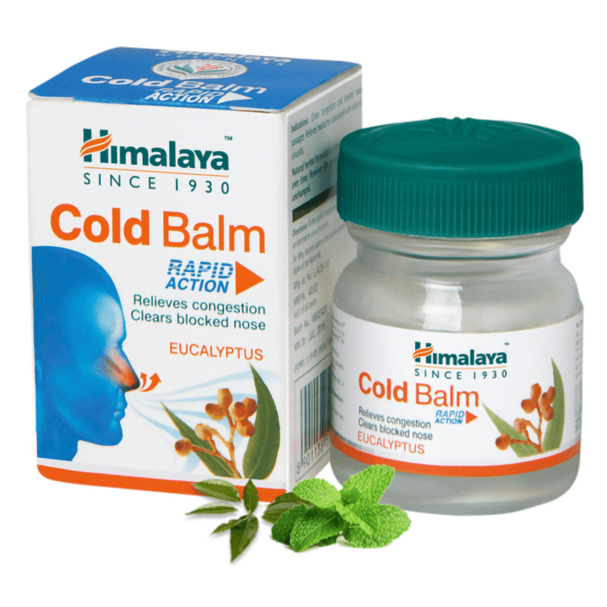 Buy Himalaya Rapid Action Eucalyptus Cold Balm, 10 gm | 19 Minutes ...